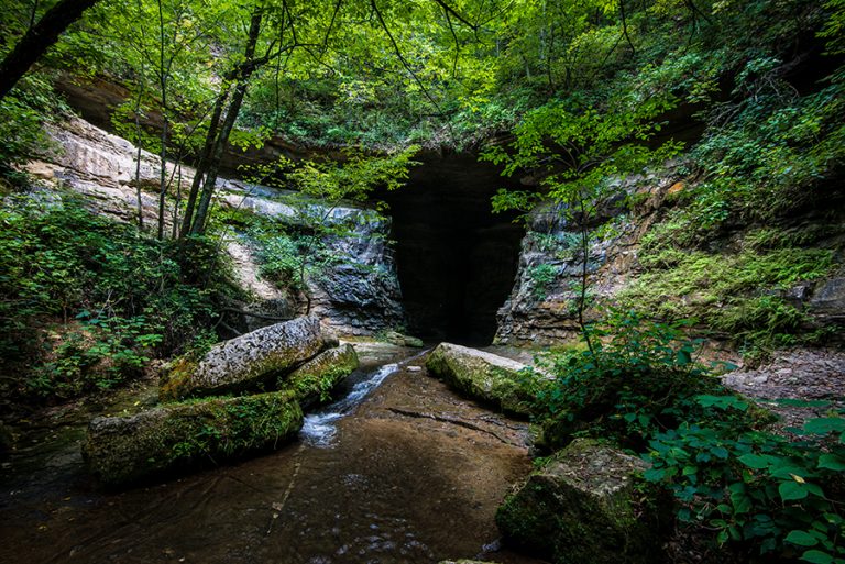 Ultimate Guide to Shawnee Cave, Indiana (Tours, Pricing, History, Map ...